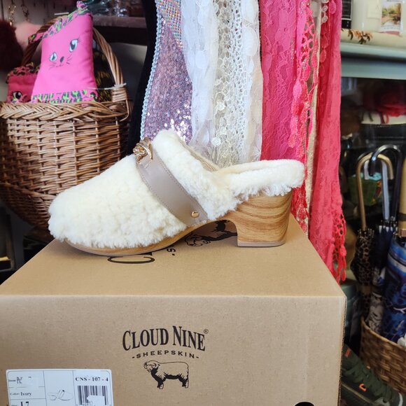CLOUD NINE SHEEPSKIN | Shoes | Cloudnine Sheepskin Clogs For Woman ...